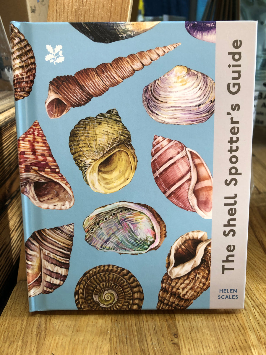 Shell spotters Guide – St Columba Larder